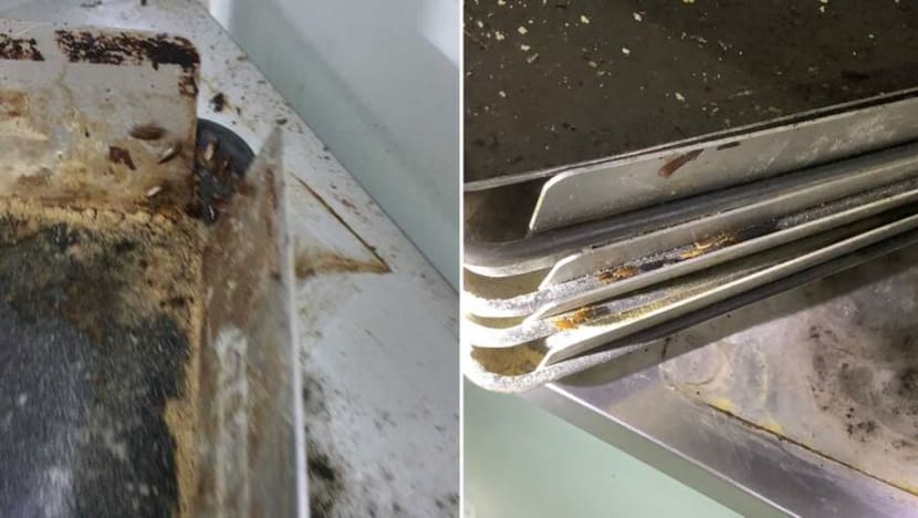 iBread fined S$7,000 for multiple hygiene lapses, including massive infestation of cockroaches - CNA